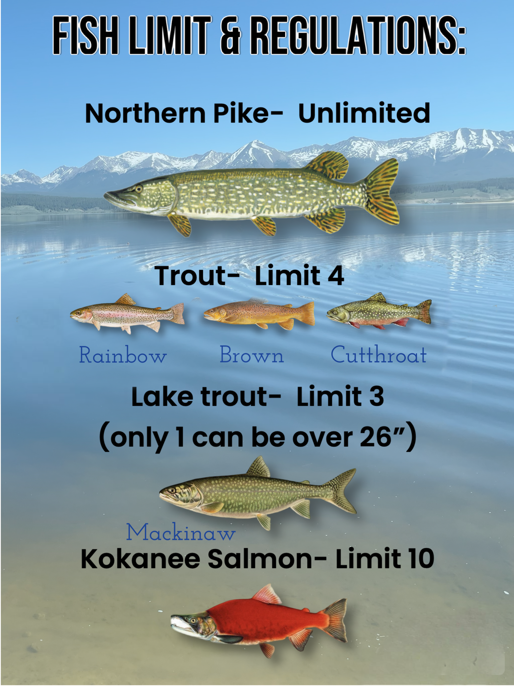 Fish Limit & Regulations/ History - Taylor Park Marina